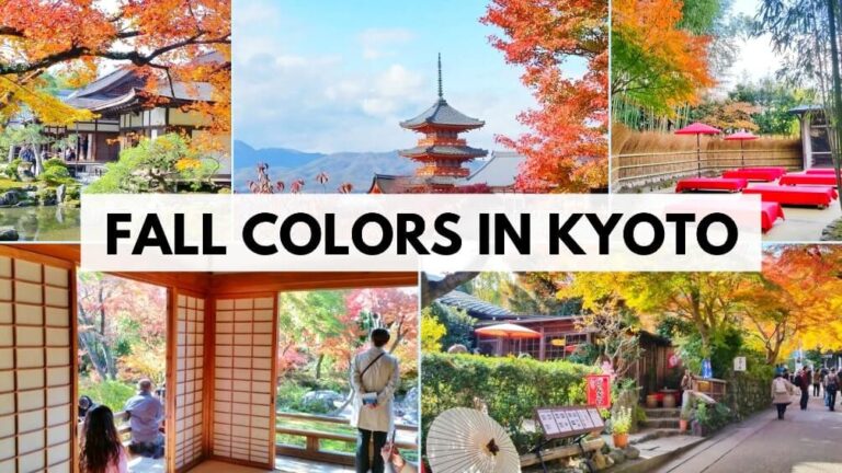 3 day Kyoto Japan fall colors autumn itinerary 🍁 Where I saw fall ...